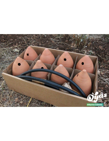 Kit tout équipé 8 Guirland-Oyas® - Taille M